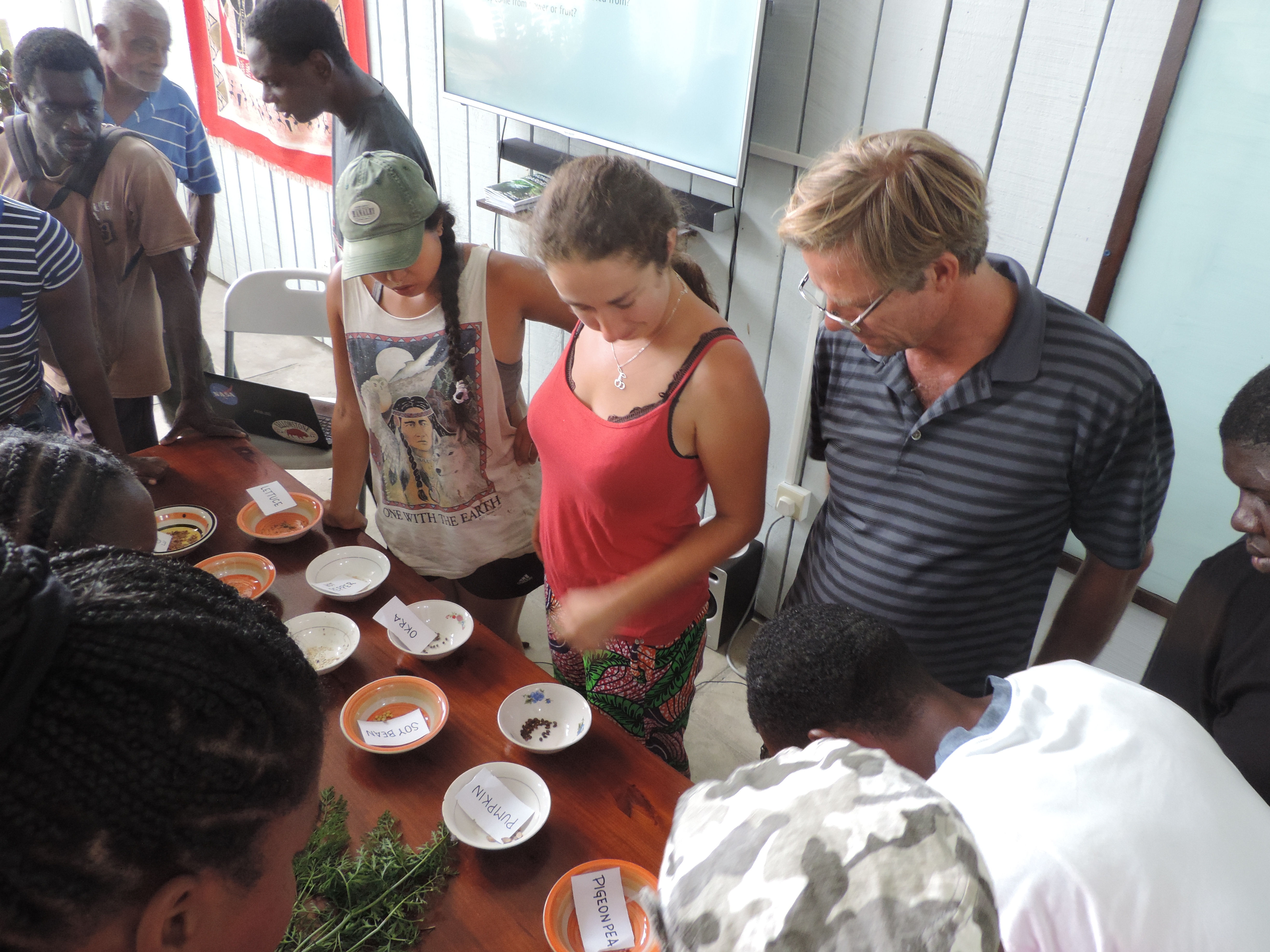Seeds Workshop The Firefly With A Travelbug